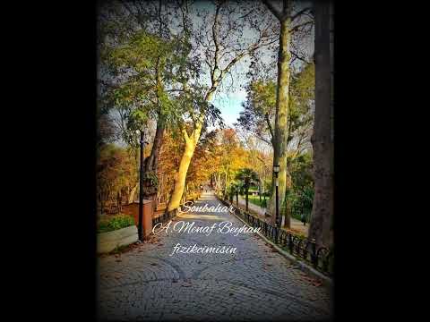 Sonbahar / Eylül / Şiir : A.Menaf Beyhan #fizikcimisin @fizikcimisin
