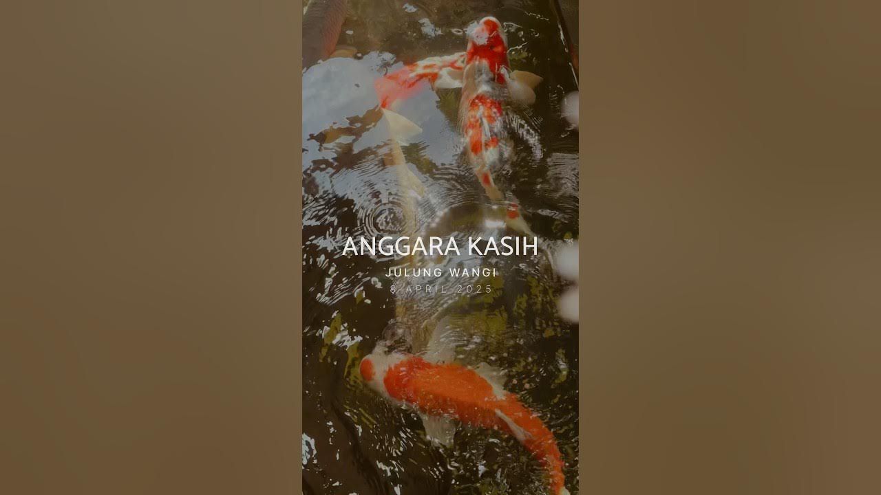 Odalan Home Padmayana #odalan #bali #piodalan #rainan - YouTube