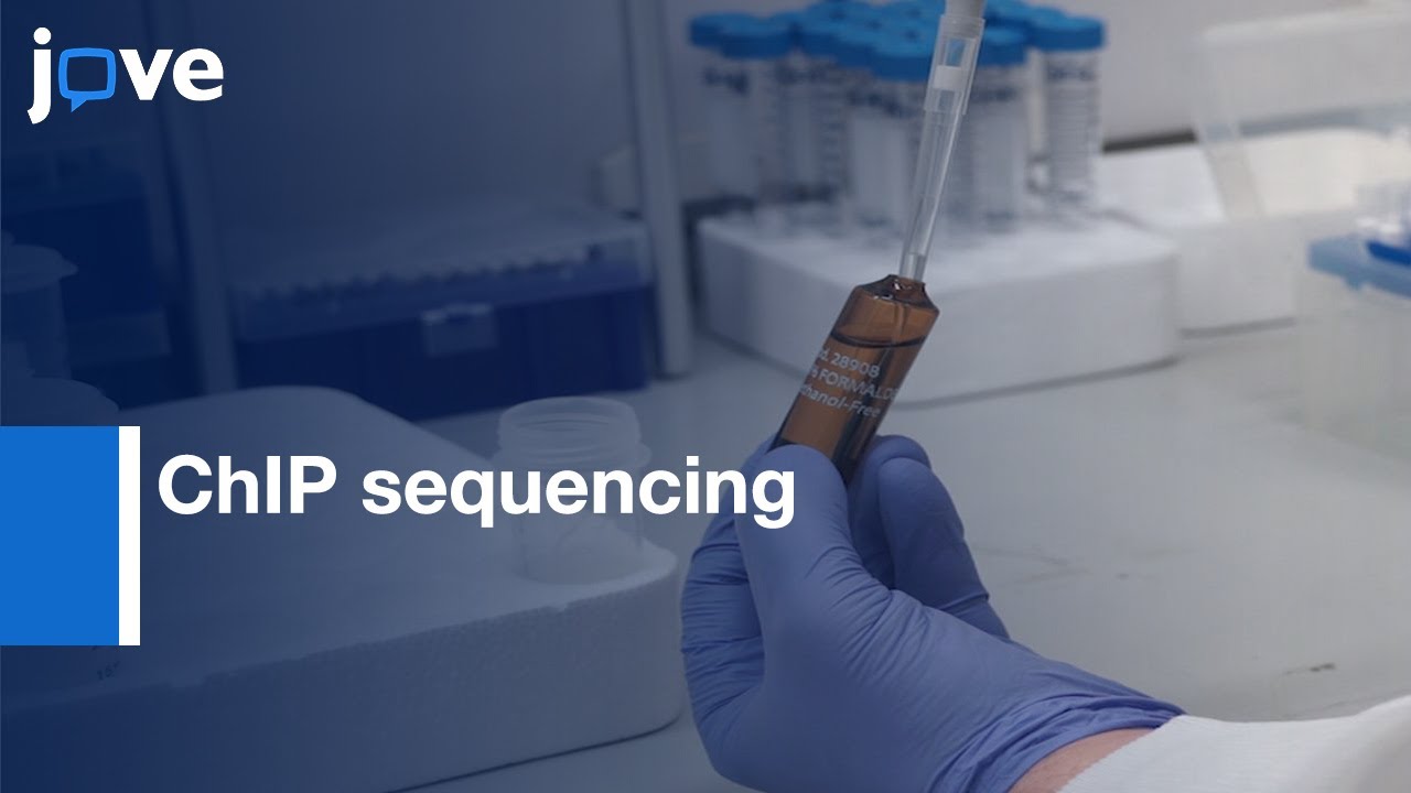 ChIP sequencing in Tumor Tissues for Mapping of Chromatin States ...
