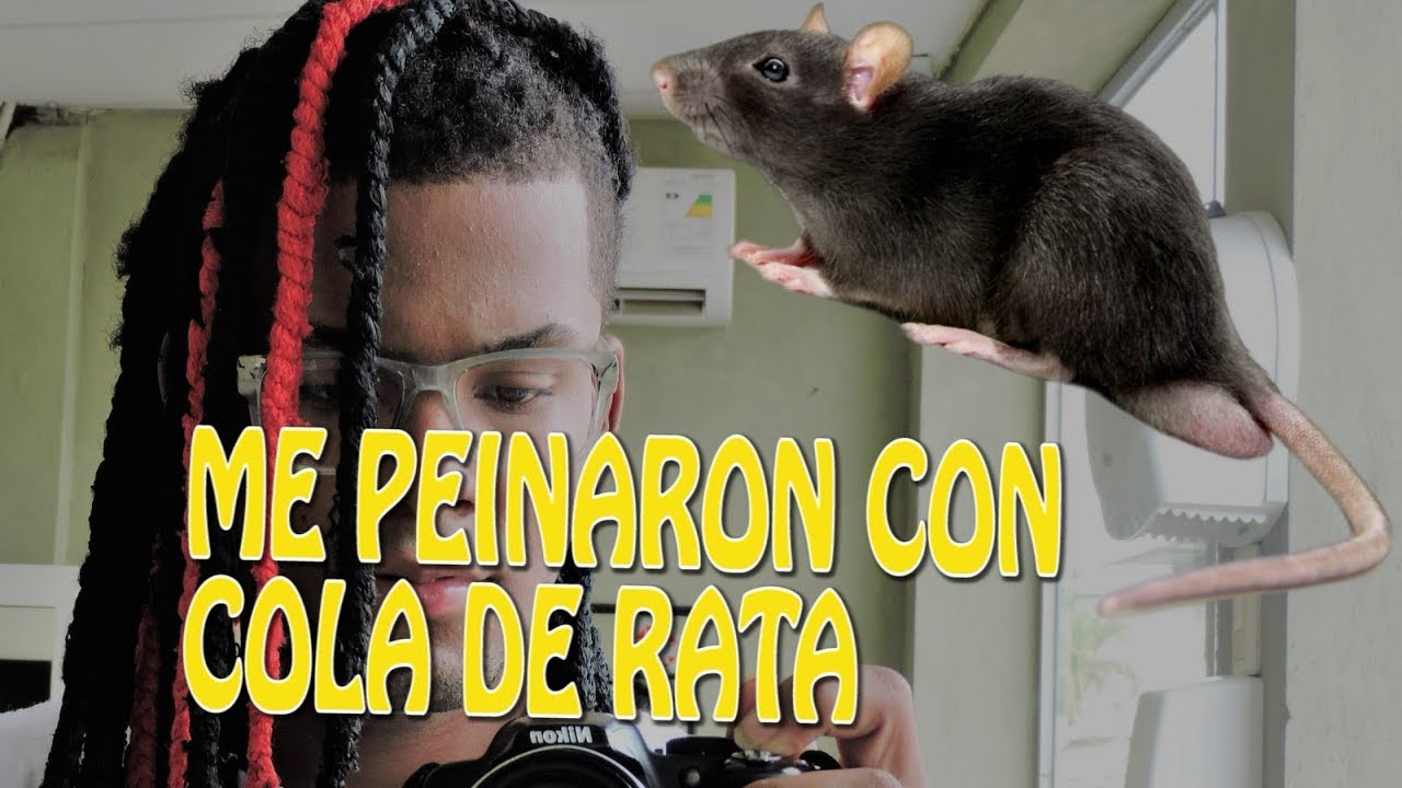 ME PEINARON CON COLA DE RATA EN ECUADOR. - YouTube