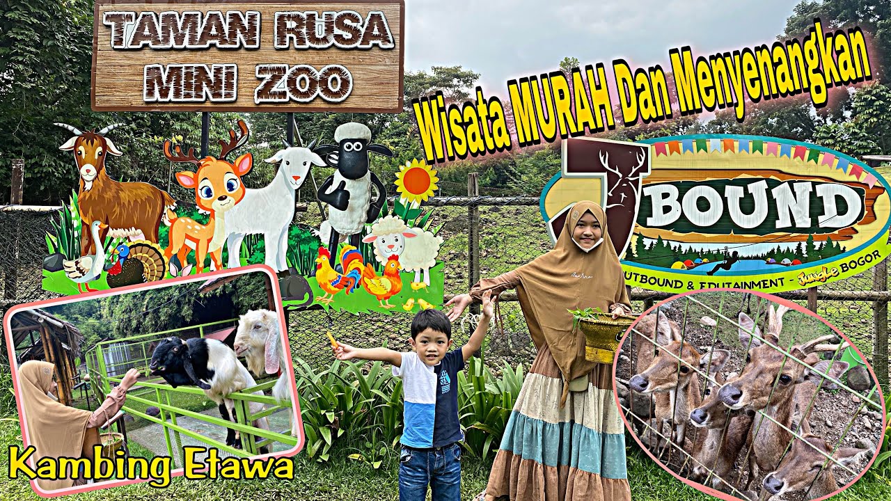 REVIEW JBOUND BOGOR TERBARU‼️Seharian Bermain Bersama Rusa | Taman Rusa ...