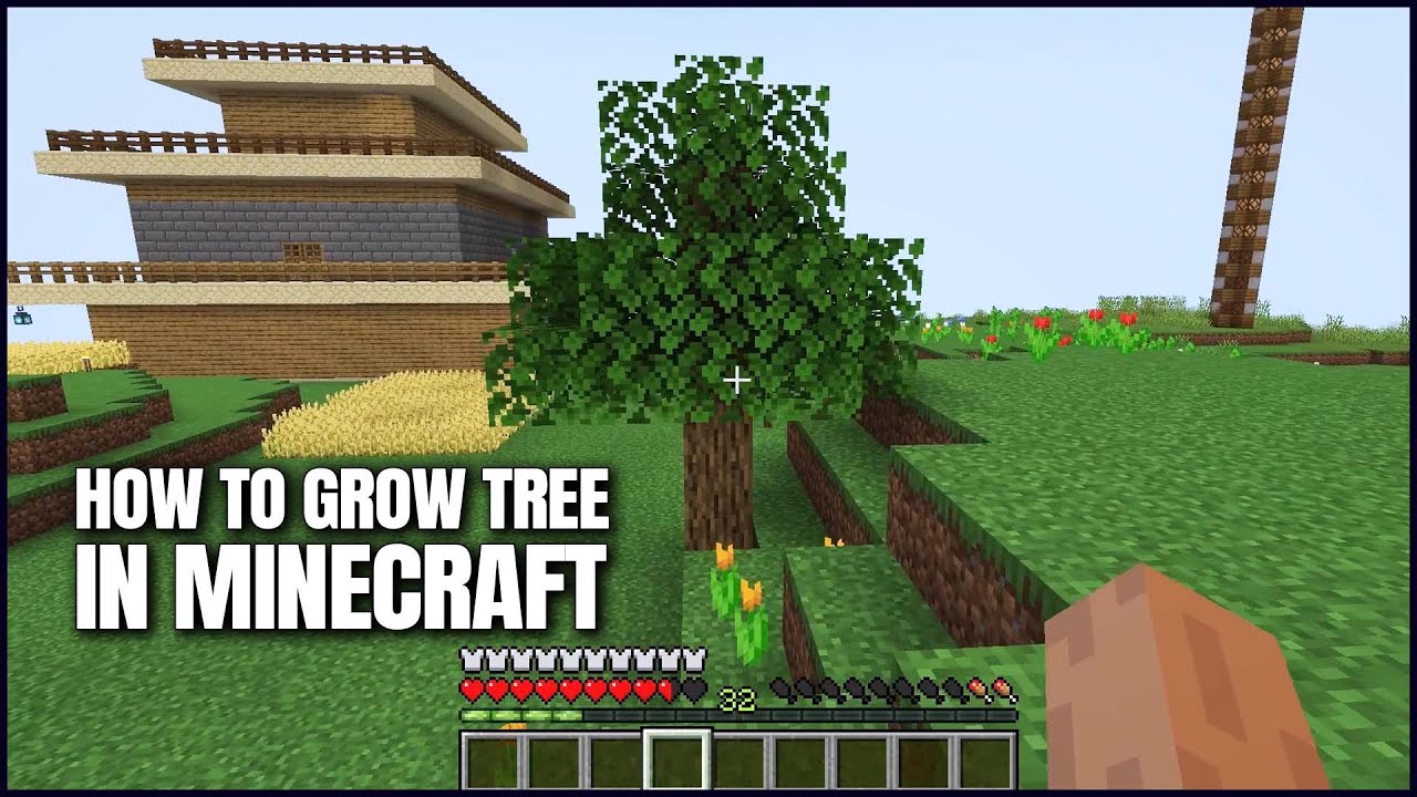 How to Grow Tree in Minecraft near Home - YouTube