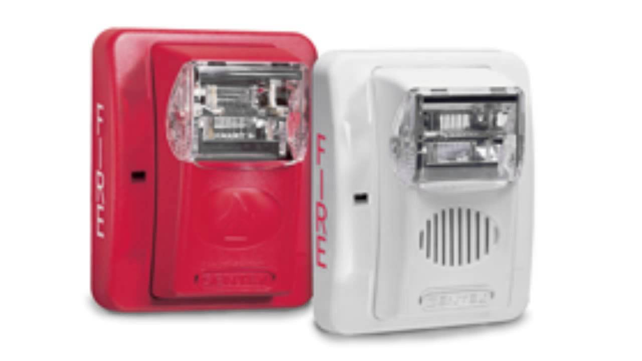 Audio Clip: Gentex Commander 3 - Code 3 Horn - YouTube