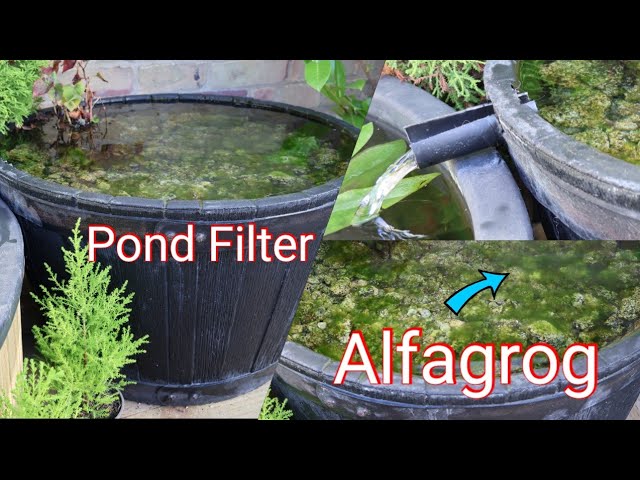 Homemade Fish Pond Filter System