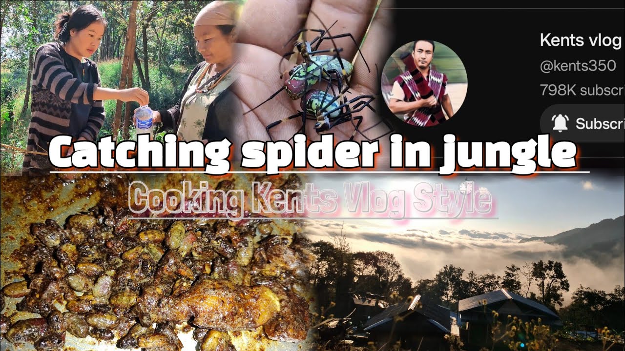 Catching Spider And Cooking Inspired By @kents350 - YouTube