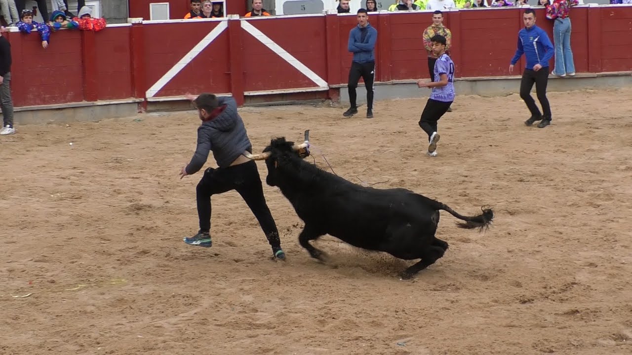 VAQUILLAS CARNAVALES TOLOSA 2024 - VIERNES FLACO 09-02-2024 - YouTube