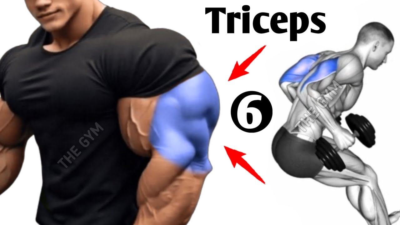 6 Most Powerful Triceps Exercises for Bigger Arms (Fast Results) - YouTube