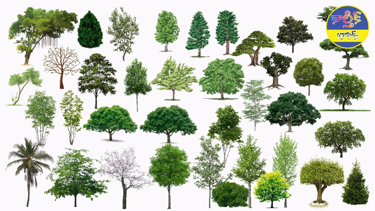 TREE PSD FILE - YouTube