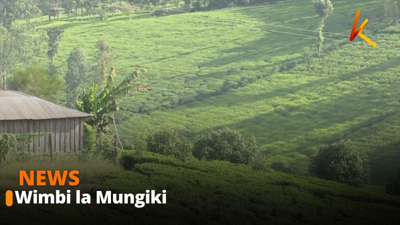Madai ya kurejea kwa Mungiki eneo la mlima Kenya yatonesha vidonda ...