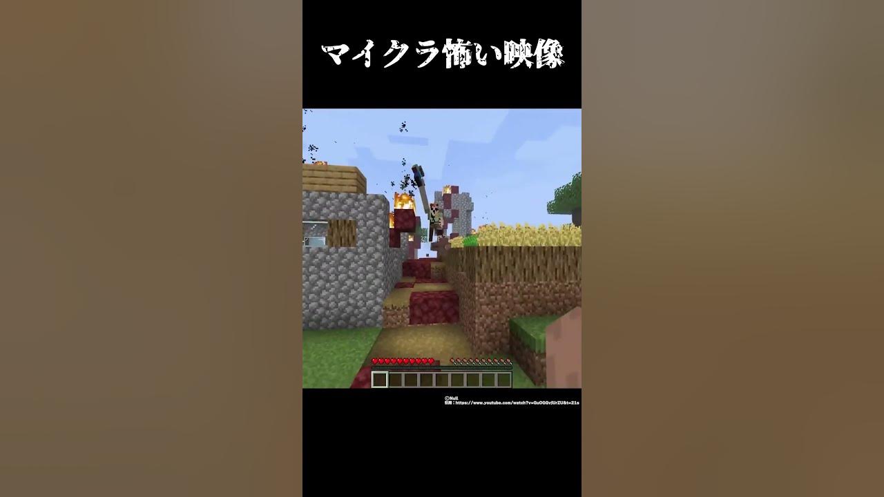 世界で発見されたマイクラの奇妙なモノ?【ゆっくり解説】 Shorts Youtube