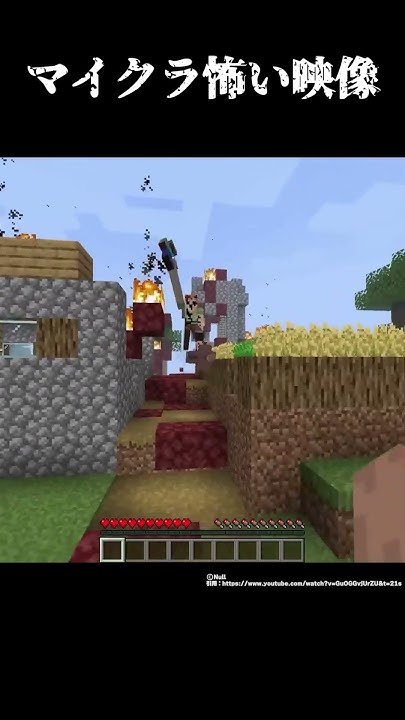 世界で発見されたマイクラの奇妙なモノ？【ゆっくり解説】 Shorts Youtube