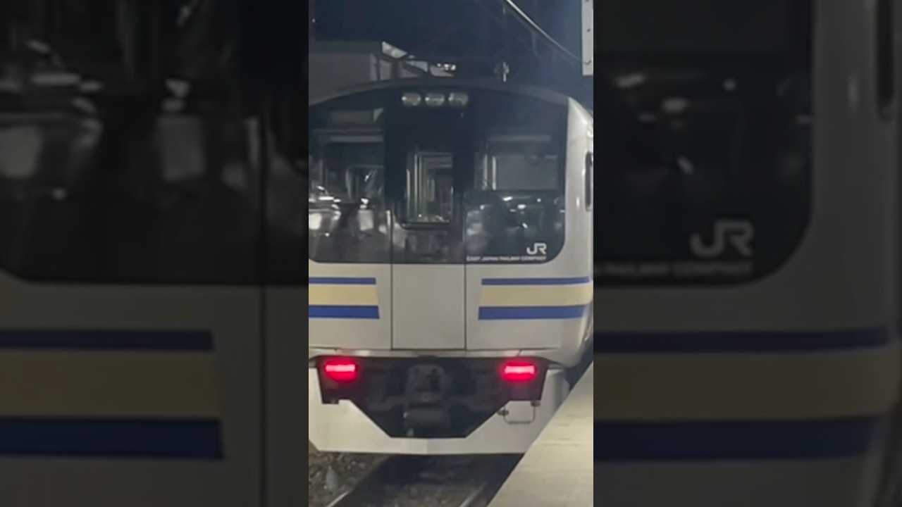 長野までの旅を終え帰ってこない長総へ E217系Y-35編成 廃車回送 #e217系 - YouTube