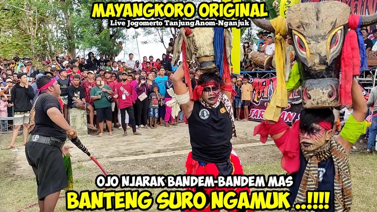 Banteng Suro Ngamuk Ojo Njarak Bandem2 Mas Jaranan MAYANGKORO ORIGINAL ...