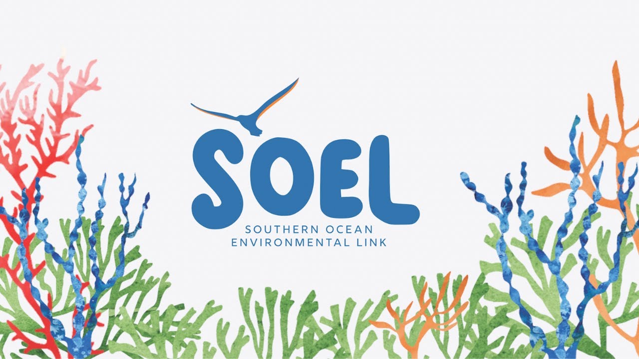 An Introduction to Southern Ocean Environmental Link - YouTube
