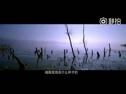 吴磊 Fights Break Sphere 斗破苍穹