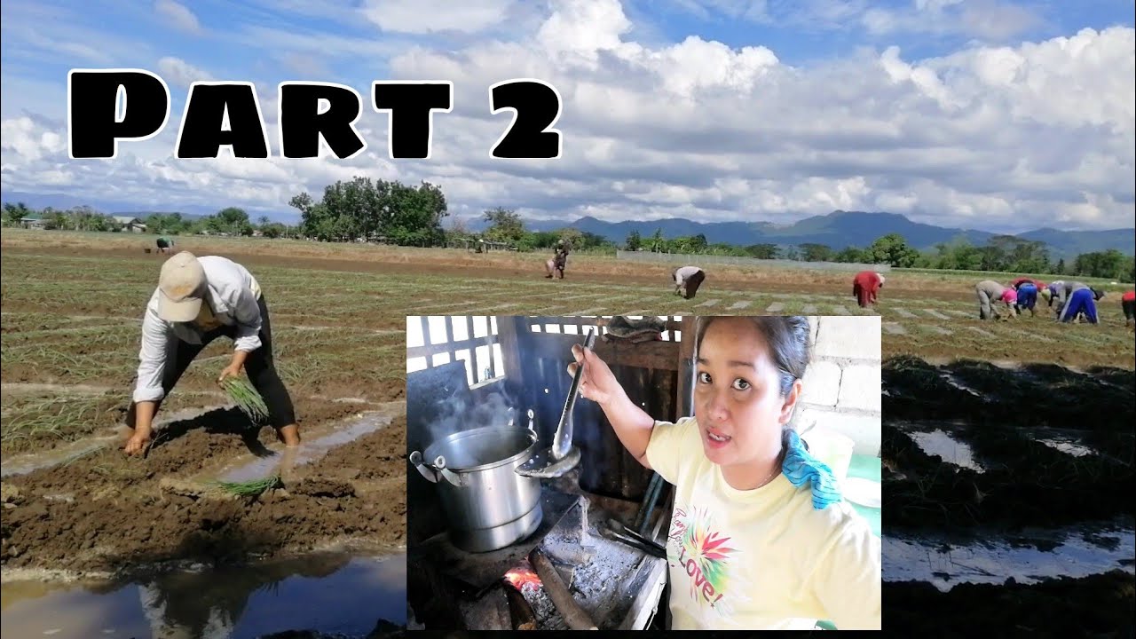 Part 2:PATANIM NG SIBUYAS + SIMPLENG PAGKAIN👌Simpleng Buhay Sa ...