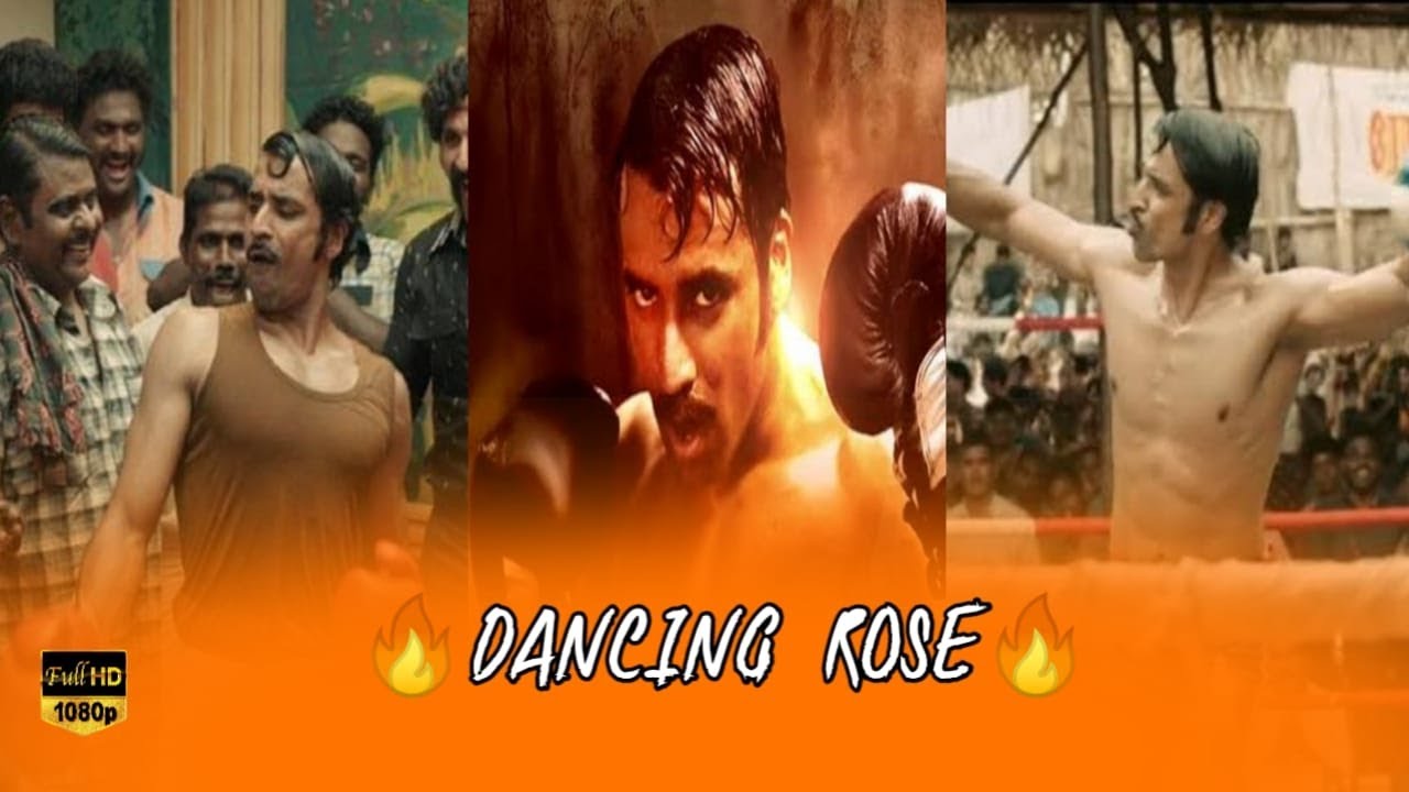 🔥Dancing Rose 🌹| Sarpatta Parambarai | Shabeer Kallarakkal | Whatsup ...