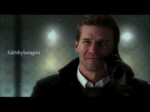 Booth & Brennan - BONES - Season 3