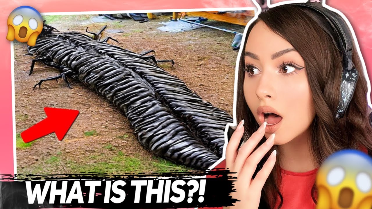 45 Things You Will See for the First Time in Your Life | Bunnymon ...