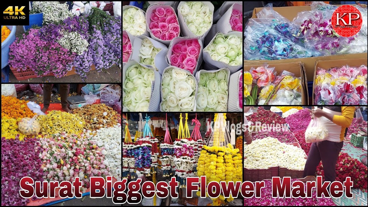 Surat Flower Market | Wholesale & Cheapest Flower Market | Fresh ...