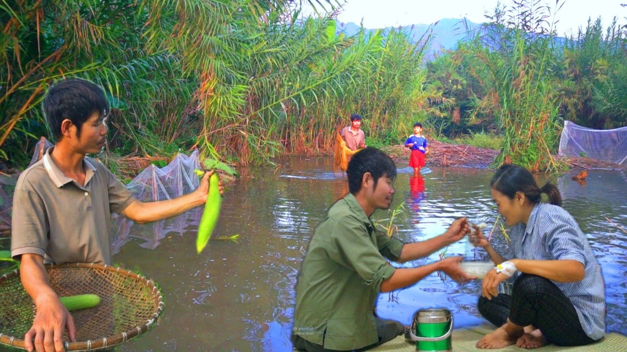 Harvesting luffa and fish. Cook nutritious meals for your wife to ...