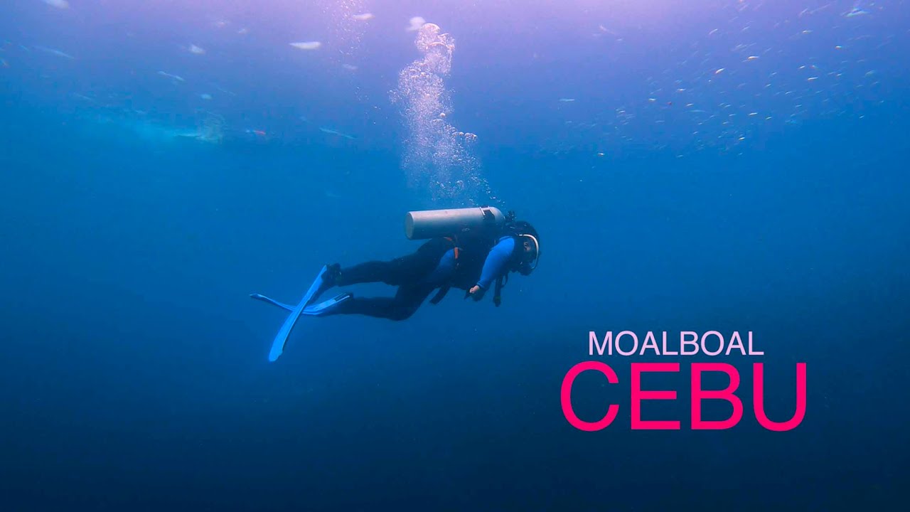 Day 2 CEBU GALA! ( MOALBOAL) one of the HIDDEN GEM of CEBU! (Skuba ...