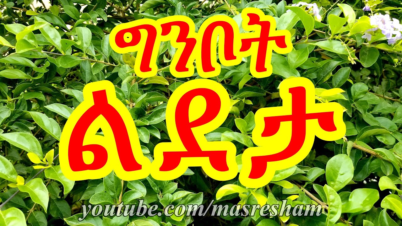 ግንቦት ልደታ - Ginbot Lideta - YouTube
