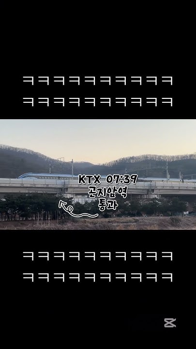 경전철과KTX와의공존 #곤지암천 #철새 #자연 #곤지암tv #shorts#부발역정차#곤지암역통과 - YouTube