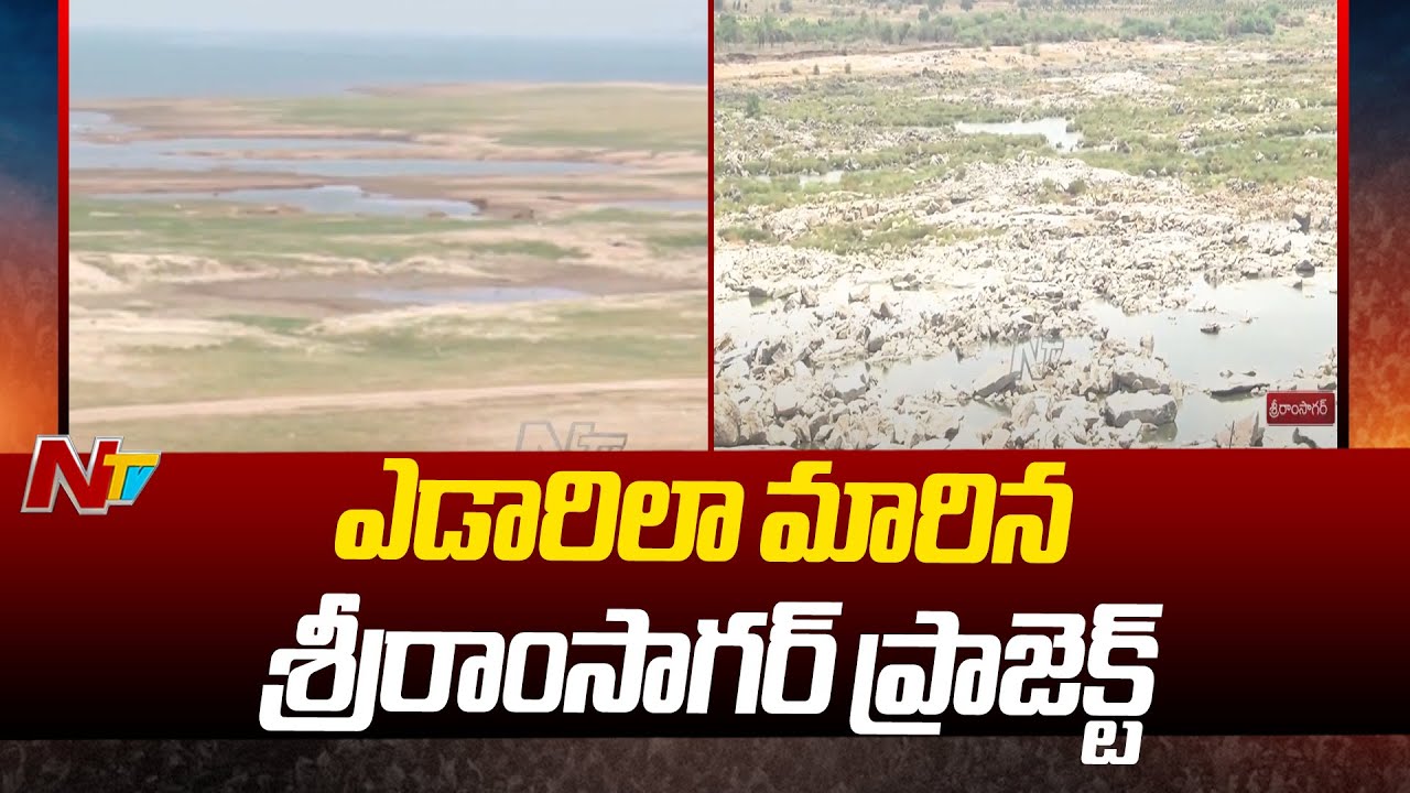 Sriram Sagar Project: నీరు లేక వెలవెలబోతున్న శ్రీరామ్ సాగర్ ప్రాజెక్ట్ ...