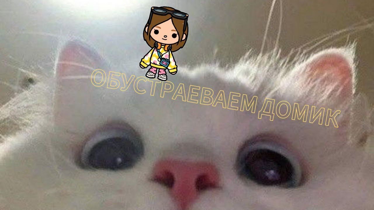 ОБУСТРАИВАЮ ДОМИК // тока бока // домик // - YouTube