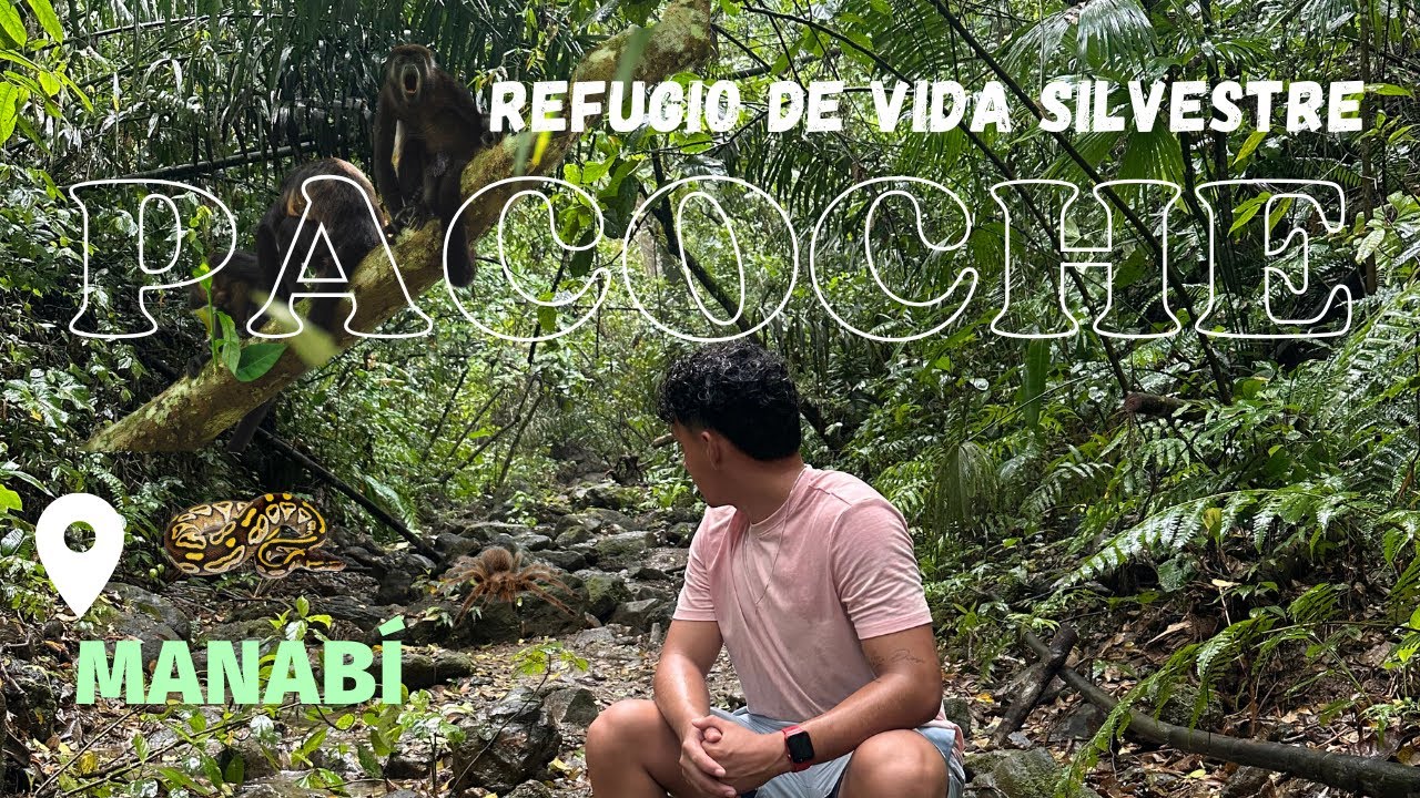 Explorando el Refugio de Vida Silvestre Marino Pacoche - Manabí 🌳 - YouTube