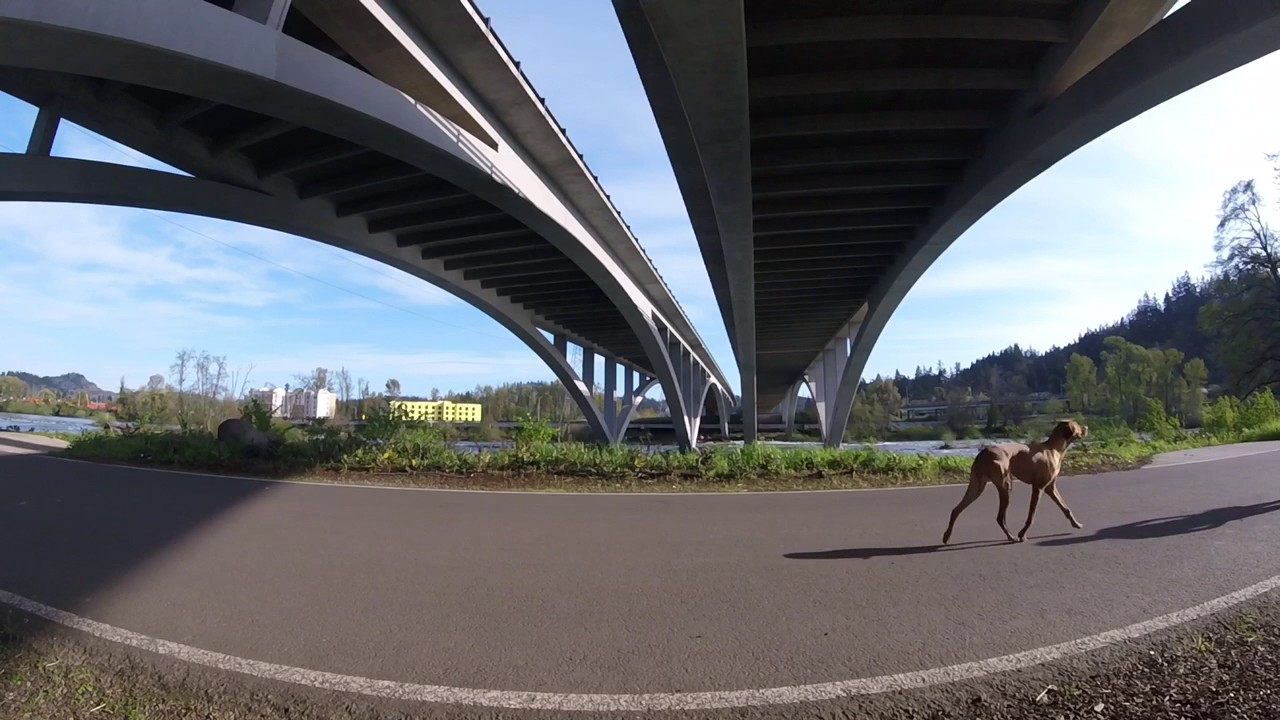 GOOD LUCK AT BOSTON HALEY - YouTube