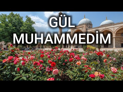 GÜL MUHAMMEDİM OZAN BİRGÜL YENİ İLAHİLER 2026