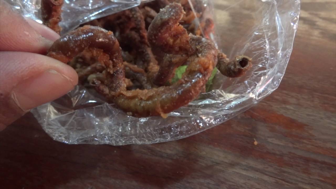 fried chicken intestine - YouTube