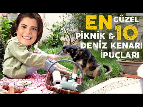 Deniz Kenarı ve Piknik İçin EN Harika 10 Tarif ve İpucu | Köfte🧆 Sandviç🥪 Salata🥗 Sarma ve Dahası