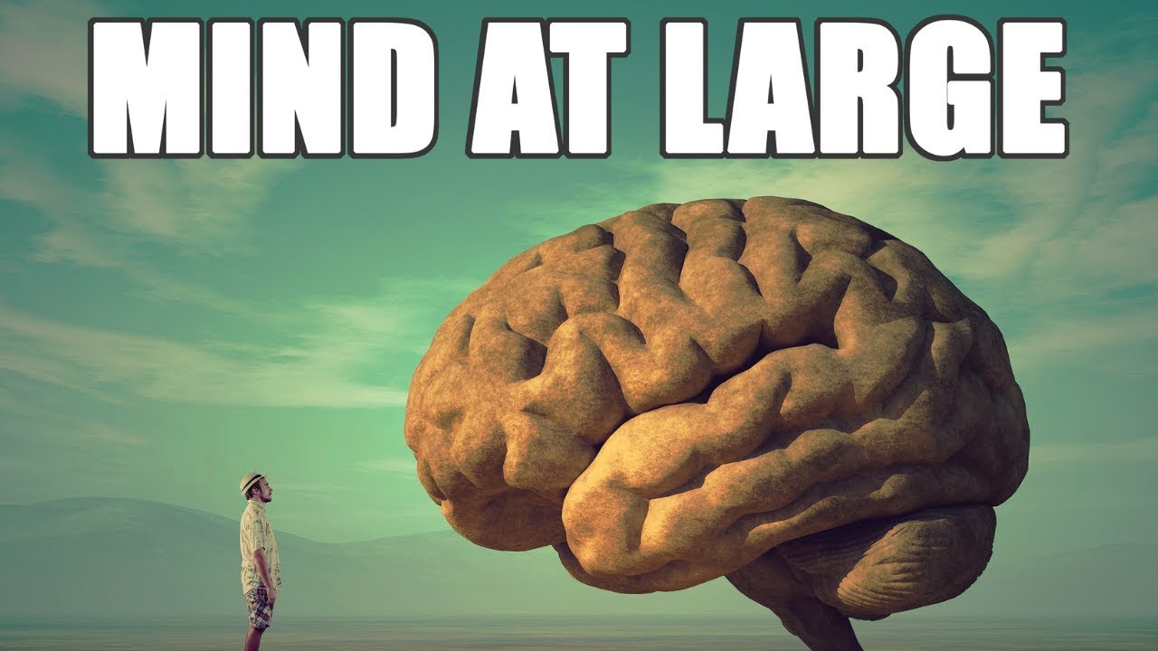 Mind at Large - A Hypotheory of Consciousness and Reality - YouTube
