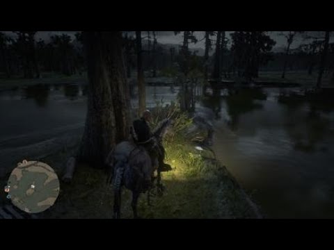 Red Dead Redemption 2: Bluewater Marsh Treasure Map - YouTube