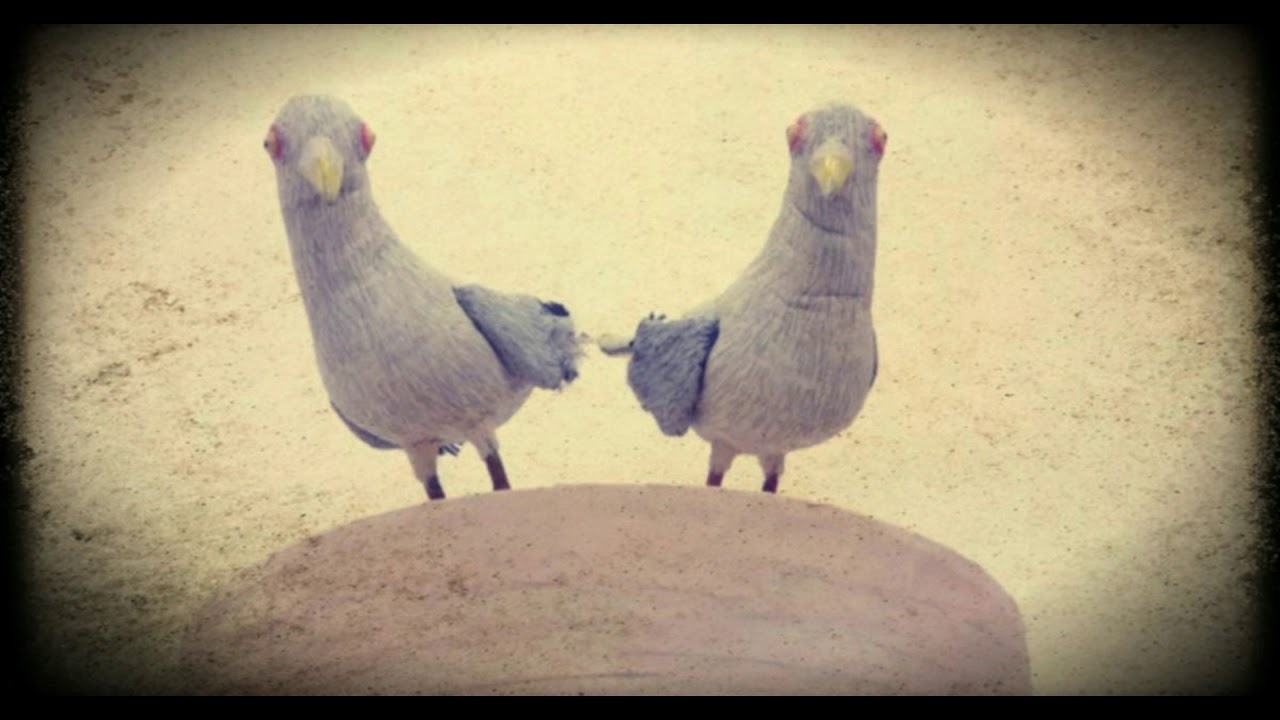 Metronomy The Look Instrumental, Minus - YouTube