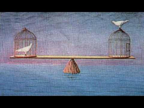 Elçin Mirzəbəylinin \