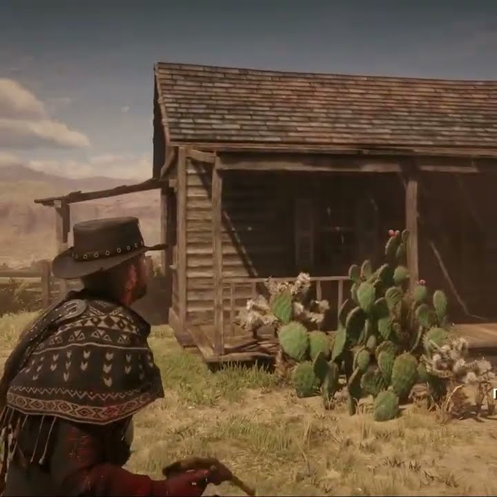 red dead redemption in desert #rdr2 #rdo #rdr2gameplay # ...