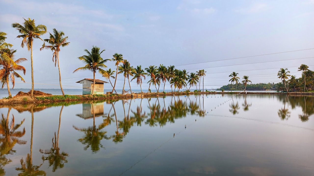 Chathamma - Cheppanam Island Near Panangad | Beautiful Small Village ...