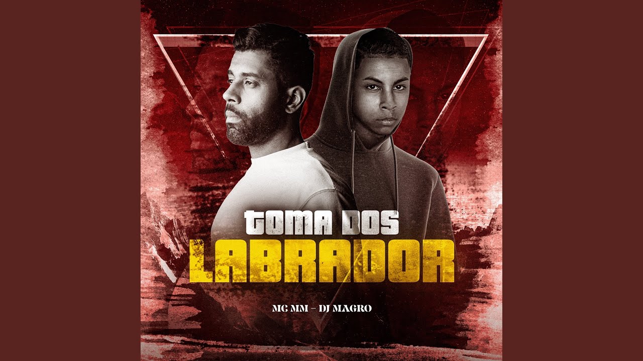 TOMA DOS LABRADOR - YouTube