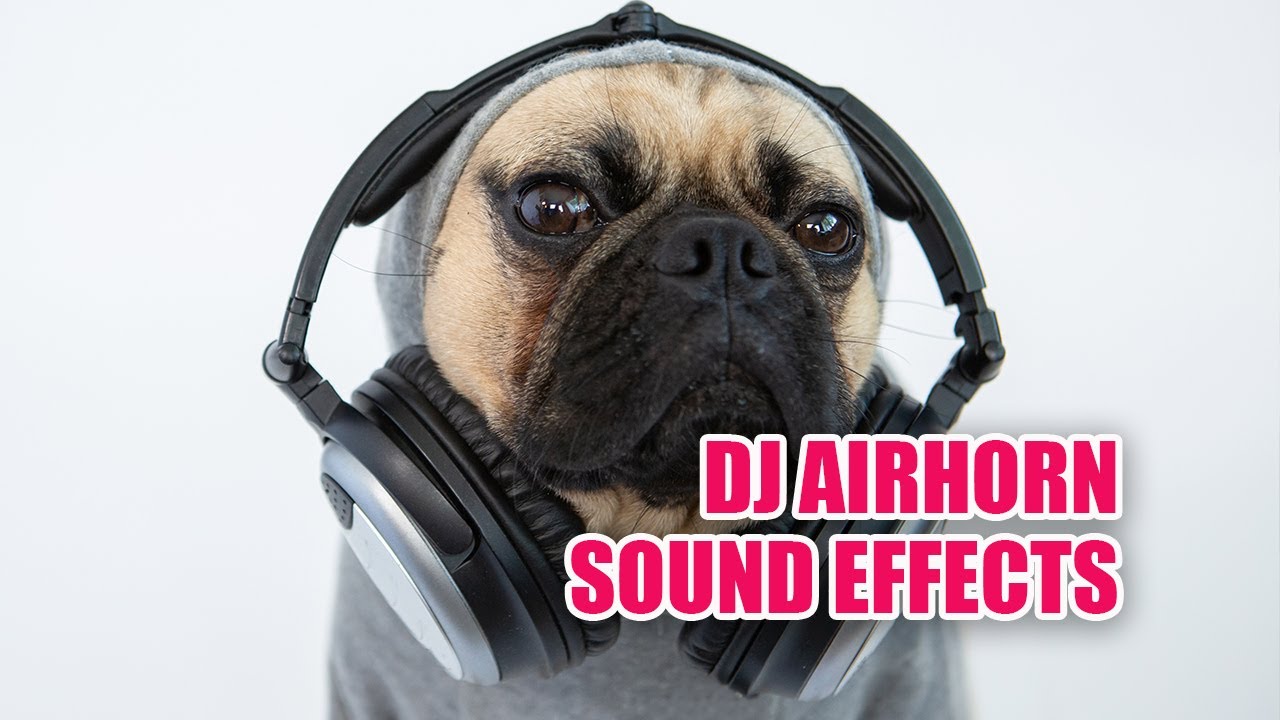 DJ Airhorn Sound Effects 🤘 Disc Jockey Air Horn Sound - YouTube
