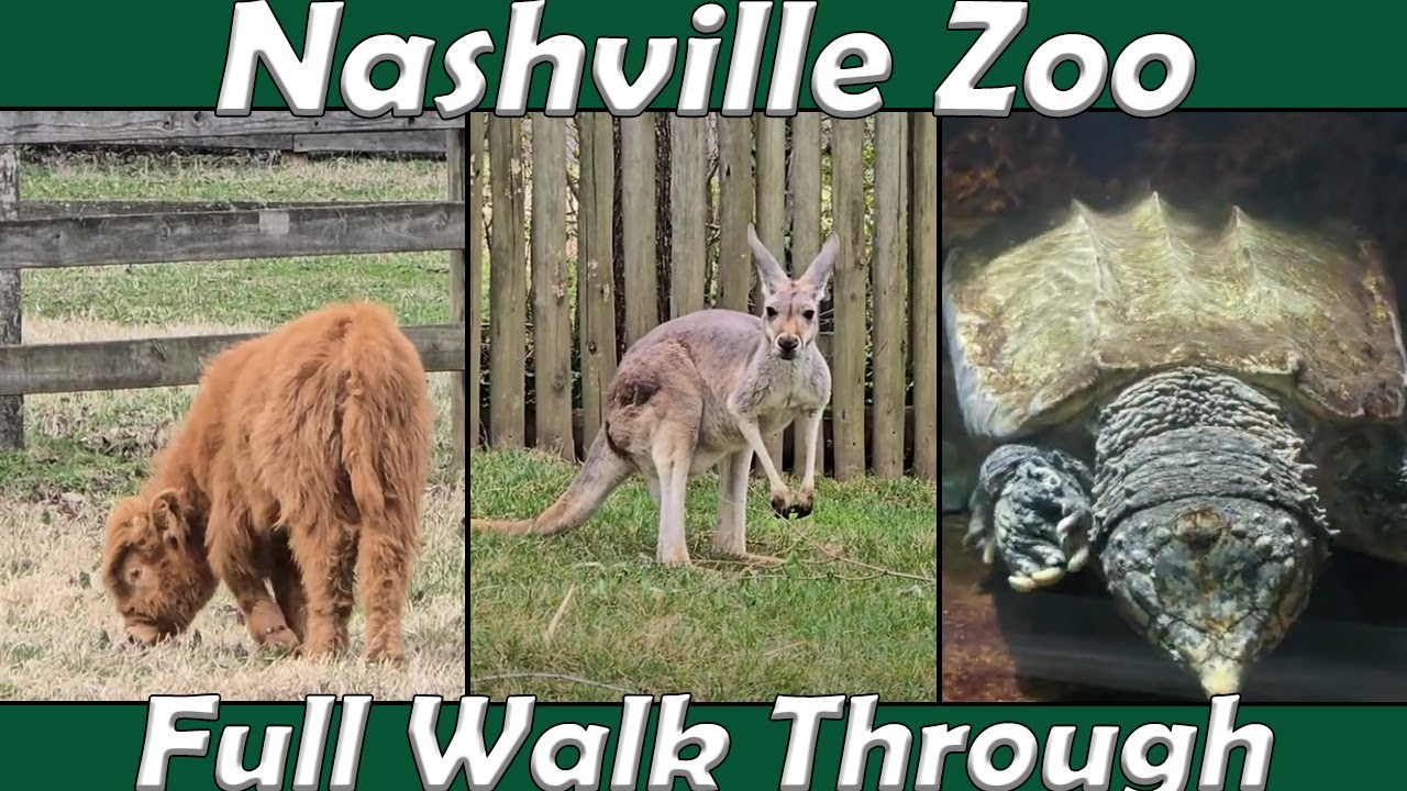 Walk Through: Nashville Zoo in Nashville, TN. (Mar. 19th, 2025) - YouTube