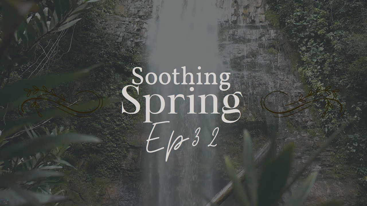 Relaxing Spring Ambience: Soothing Sounds of Springtime Nature - YouTube