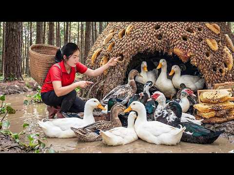 Harvest 1000+ Ducks Beehive in a cage - 2 Cages of Ducks to market sell | Harvesting Turkey, Quails