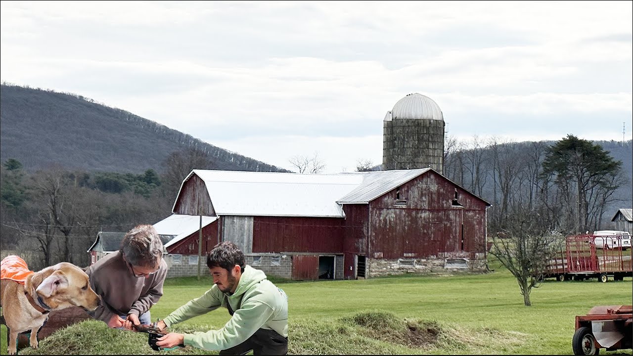 Improving 75 Year Old Cattle Barn - YouTube