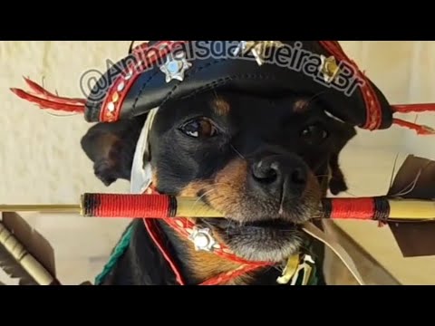 Cleitinho fubá liga para Zé Corote vim ajudar na guerra contra Crispim ...