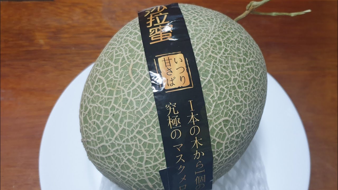 Japanese Musk Melon | Worth the Price? - YouTube