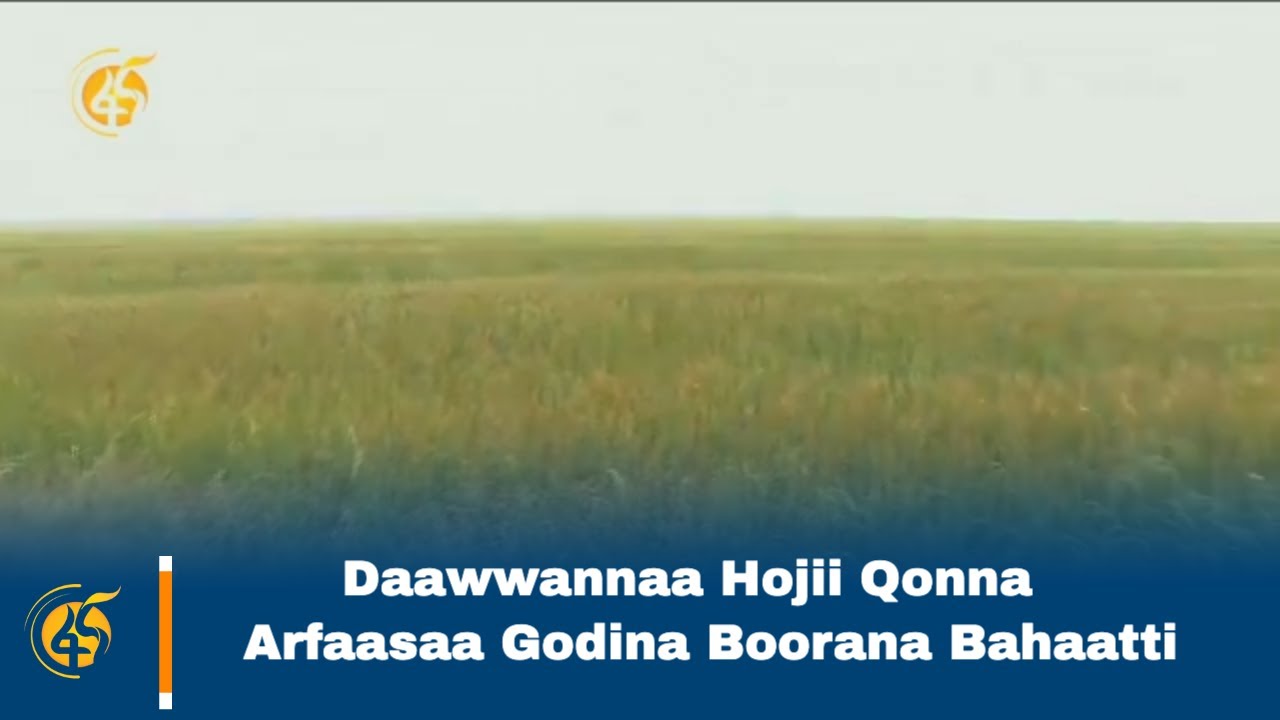 Daawwannaa Hojii Qonna Arfaasaa Godina Boorana Bahaatti - YouTube